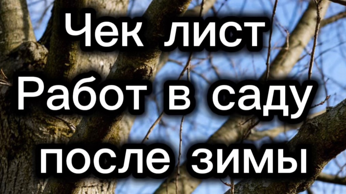 Работы в саду и огороде весной