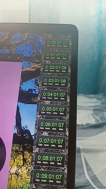 ТОНГА И МСК+10 С ДНЕМ РОЖДЕНИЯ Д.Т 🎇🎇🎇🎇🎉🎉🎉🎉