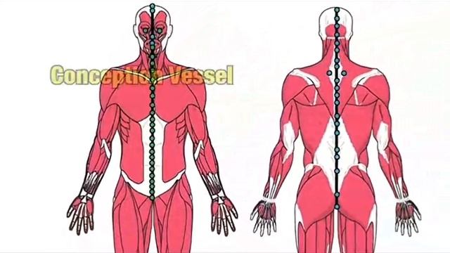 Понимание цигун (YMAA DVD 1 из 6) Др Ян Цзюньмин