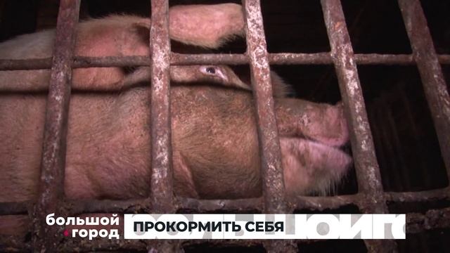 ПРОКОРМИТЬ СЕБЯ. Большой город 02/03/2026