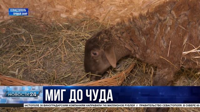 Сюжет "Миг до чуда" 2025 г.