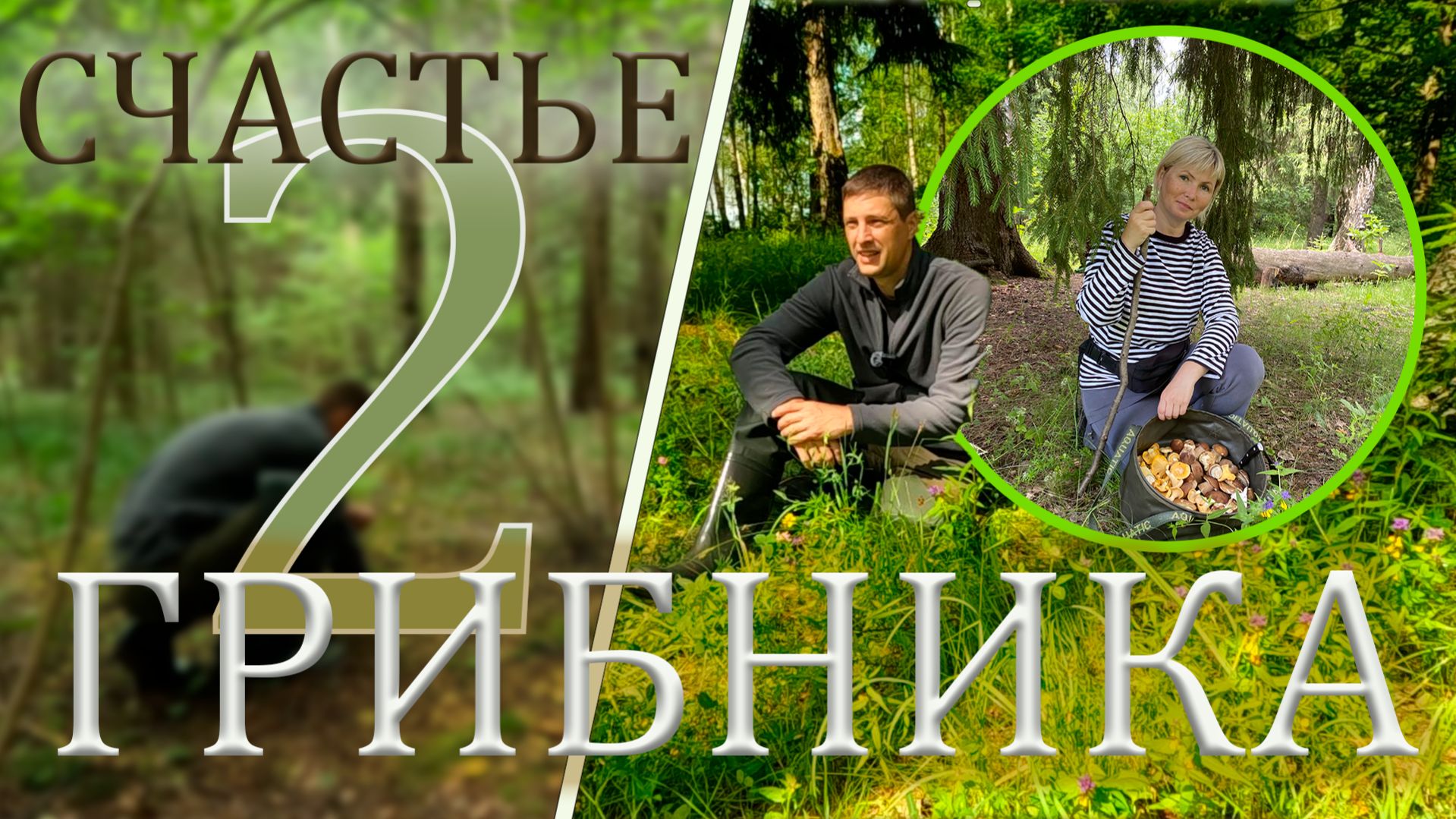 Счастье грибника 2.Закрепили результат по Белым.Плюс бонус,лисички.