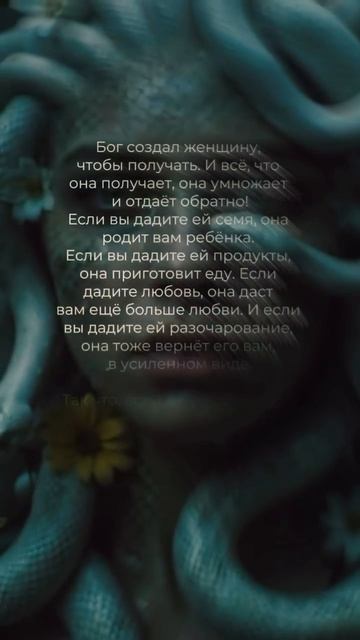 Алина Высоцкая - Пешеходы