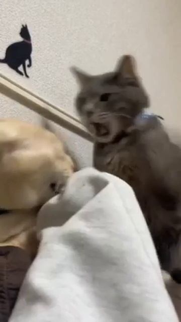 Уроки воспитания