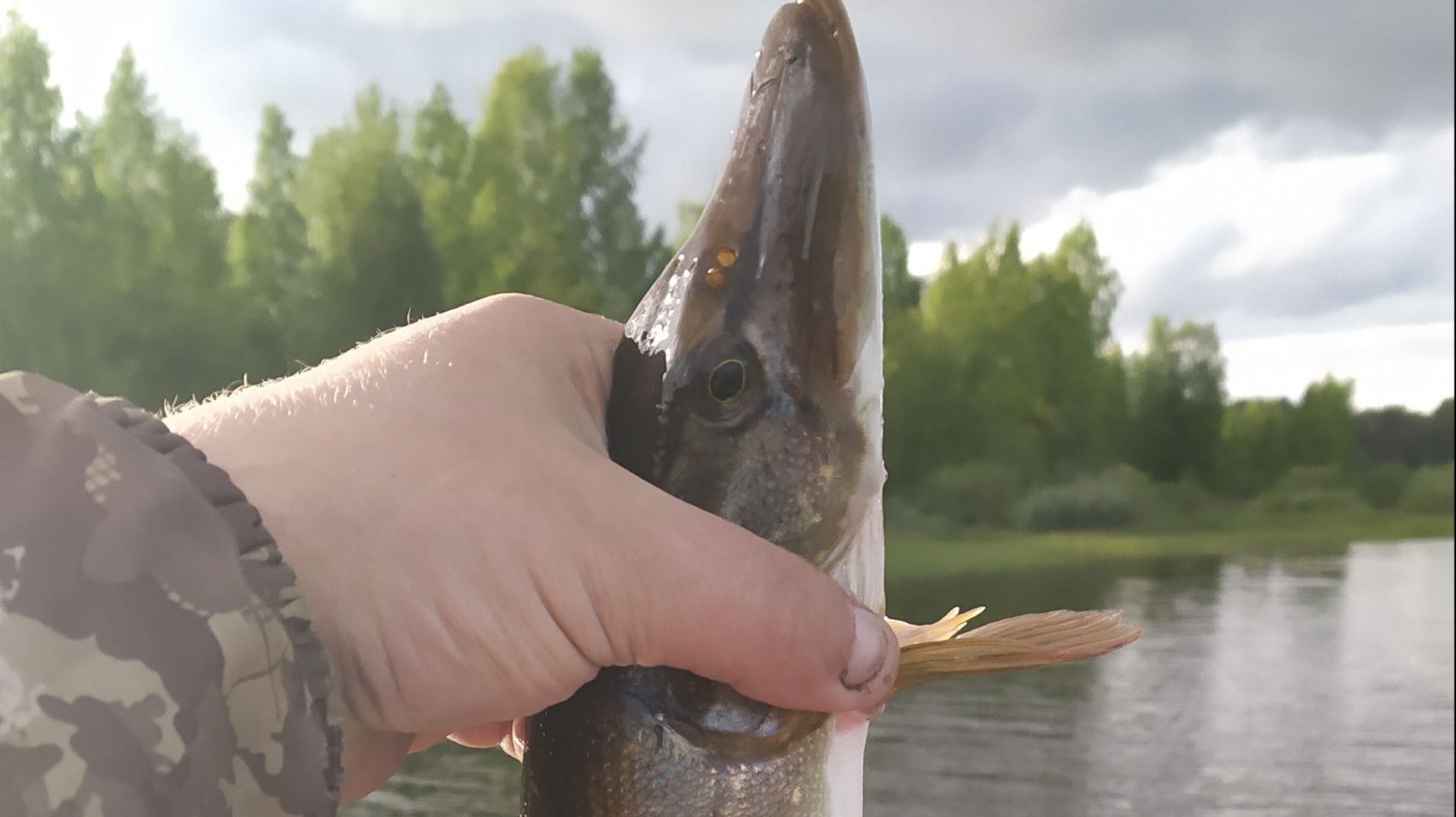 АНДОЗЕРО ПЕРВАЯ ЩУКА