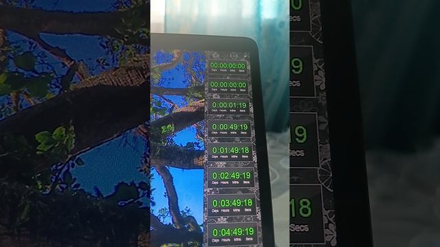 ЮЖНО-САХАЛИНСК И МСК+8 С ДНЕМ РОЖДЕНИЯ Д.Т 🎆 🎇 🎉 🎆 🎇 🎉 🎆 🎇 🎉 🎆 🎇 🎉 🎆 🎇 🎉