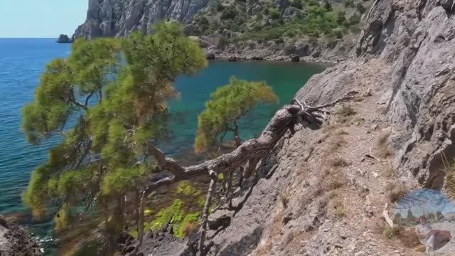 Наш отпуск... Красота Лето. Море. Дельфины. Исполнитель Юрий Шатунов - А лето цвета ...