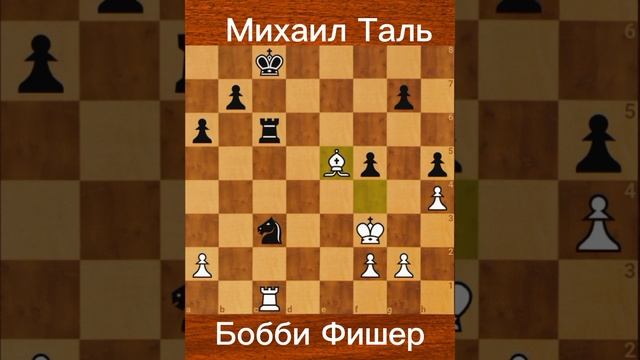 Михаил Таль против Бобби Фишера. Турнир претендентов, 11-й тур, Кюрасао (Нидерланды), 19.05.1962.