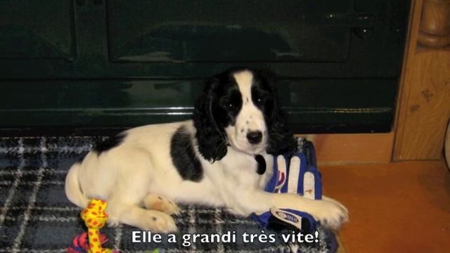 Imparfait Imperfect vs Perfect tense in French in a short story