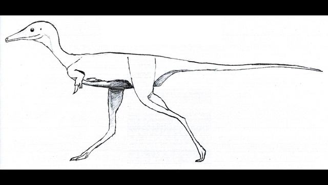 Скелет динозавра величиной с ворону был найден в Аргентине