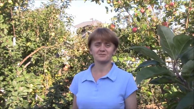 Супер урожай южных яблок 2018. Павлова Ирина