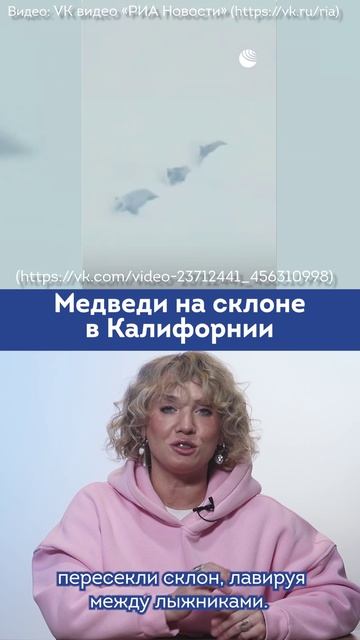 Медведи на склоне в Калифорнии