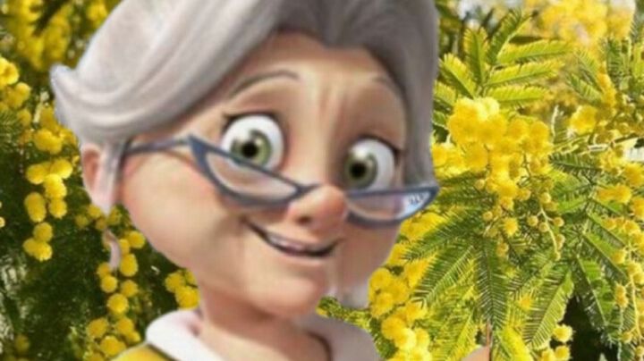 Куриное филе в сливках.