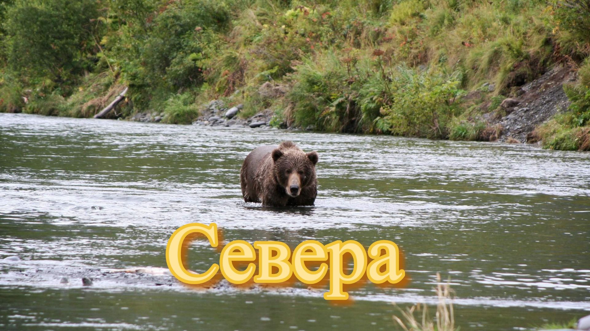 Севера