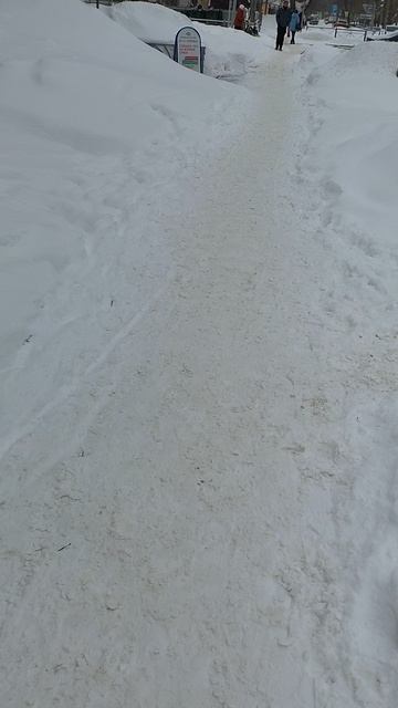 №1594 ул. Газеты Звезда. 2 марта 2026 г., 15:26:31 VID_20260302_152504408