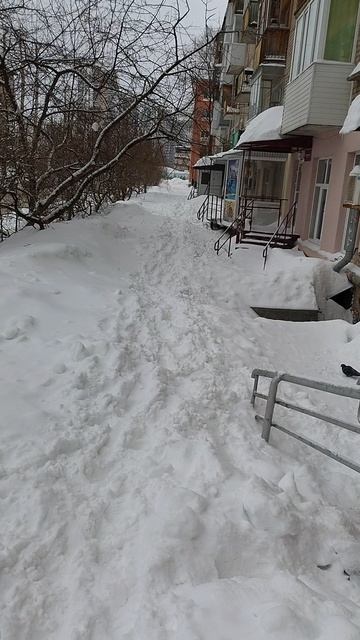 №1585 ул. Газеты Звезда. 2 марта 2026 г., 10:37:34 VID_20260302_103654667