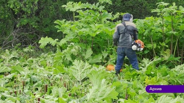 🔔НОВЫЕ ЗАКОНЫ МАРТА