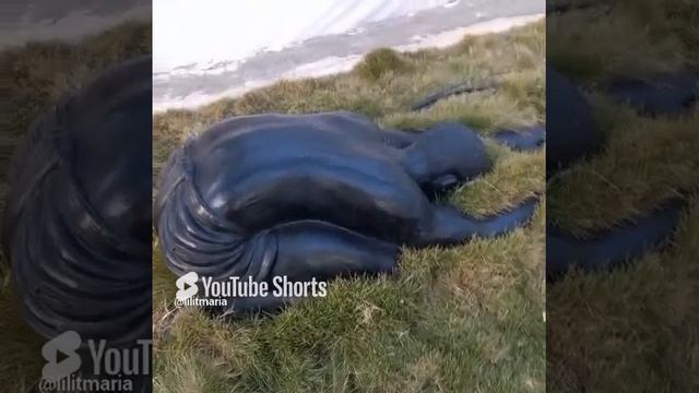 Мудрая Индия. Поклонение Солнцу, Свету и упражнения хатха йоги совмещены. Статуи в Пудучерри.