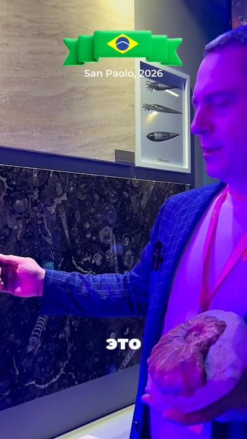 Окаменелости в камне, MarmoMac Brazil 2026