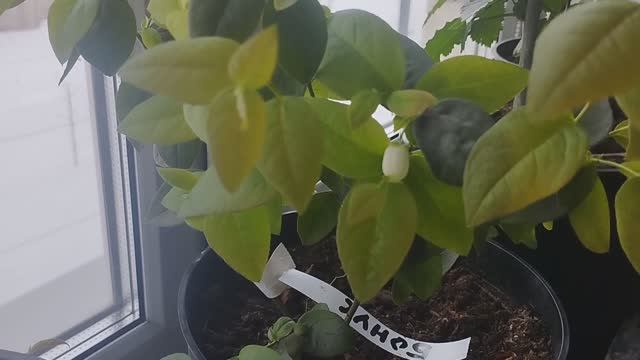 Ну сезон пошёл