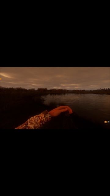 BULT  Гусь добыт!!! (больше видео и трансляции на канале)