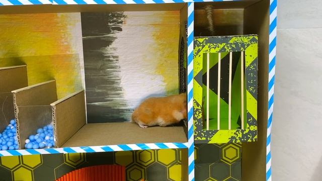 ПОЧЕМУ СТОИТ СОХРАНЯТЬ ЧИСТОТУ «Волшебная книга о хомяках» Вирус в «Истории о хомяках»