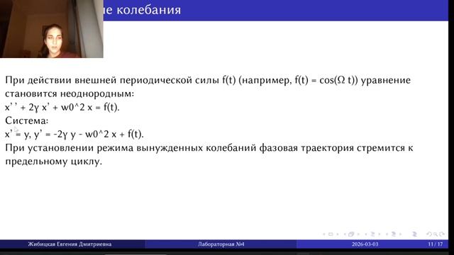 Матмод_лаб4_защита