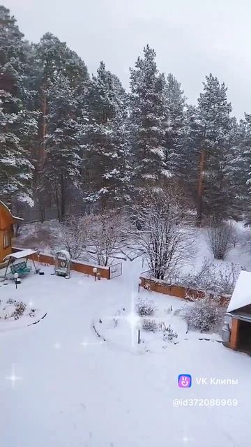 Мой двор.Живу в заповеднике.