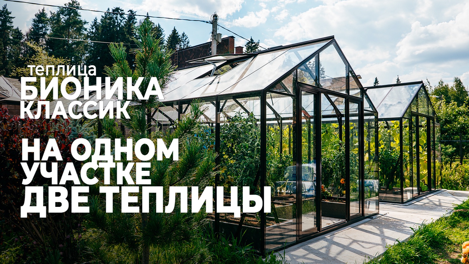 Две теплицы на одном участке | БИОНИКА Классик