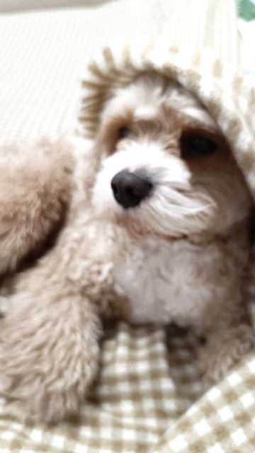 Вчера шпарил ☂️☔ а сегодня ноль