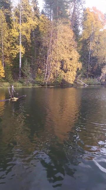 Счастья, любви и крепкого здоровья Вам!