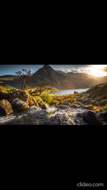 msdbcdfsbcjfsdegfhhsjdfcsdgrfhjrygdhjvdjkjufhdjskdjfhjdkslawoeiruftyghvnckslwoeiruthgvncmx,slawoeiru