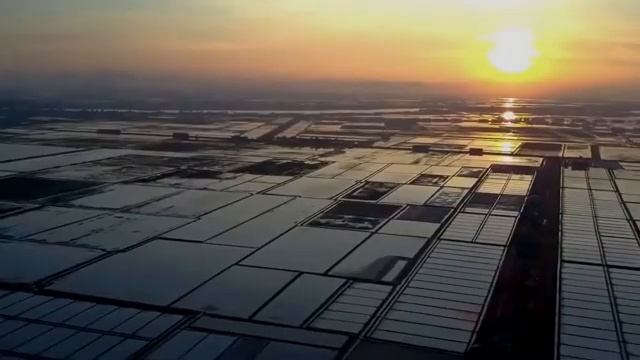 IPQuorum 2019. Pirates vs digital cinema and TV