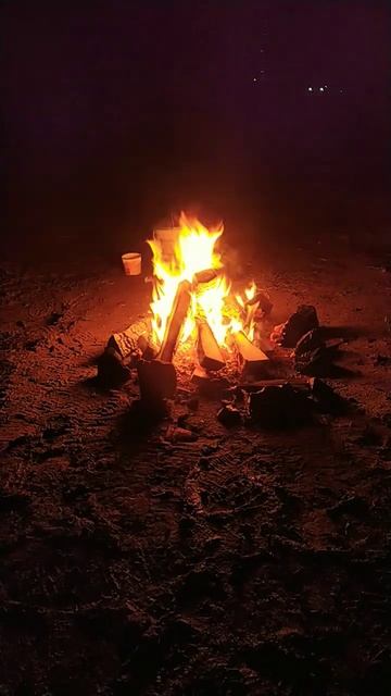 Рыбалка в ночь у костра