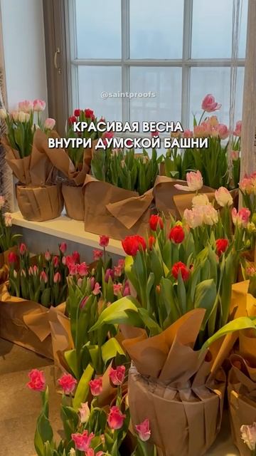 Весна в Думской башне 🫶🏻