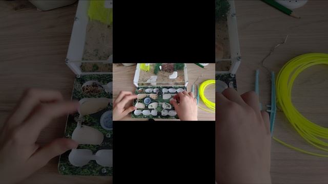 Кормушка для муравьёв