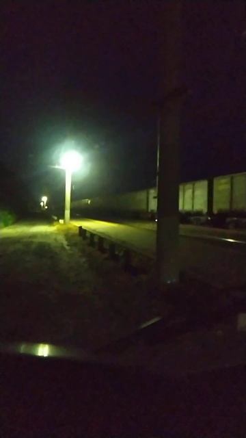 16 августа 2024 г.