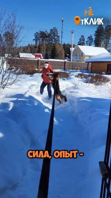 Начнём с храбрости!