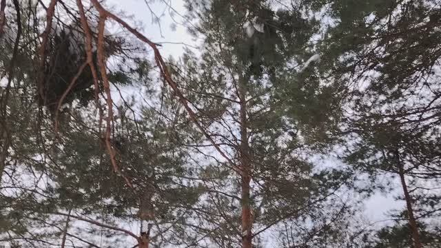 Куда деть "лишние" деньги?