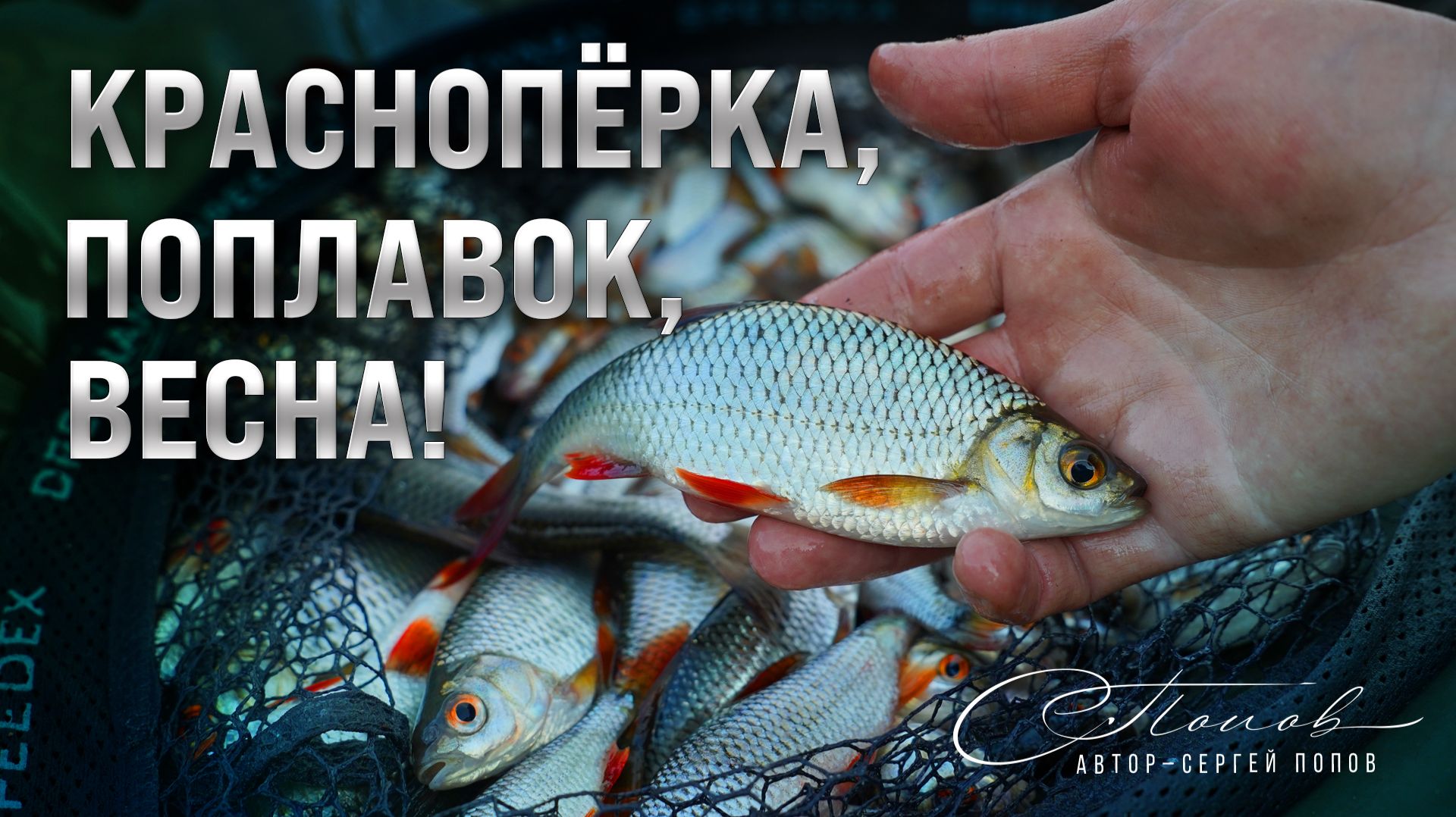 Краснопёрка, поплавок, весна – душевная рыбалка!