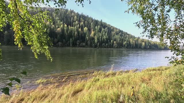 Газ 3308 07 09 2025 медведь утром Студный плес