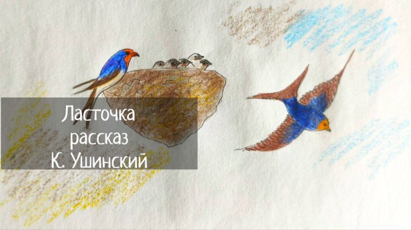 Ласточка / К. Ушинский / Рассказ ДЕТЯМ
