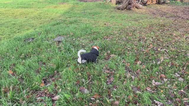 Влог 8 \ 25 ||Вяжу уют и вышиваю