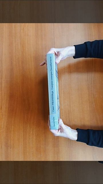 Максим Гаубец. Санкт-ПИРАНЕЗИбург. Северная империя Джамбаттиста.