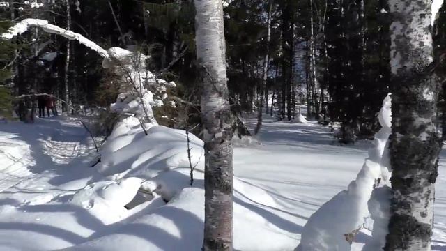 В тайгу,в феврале ,на лыжах