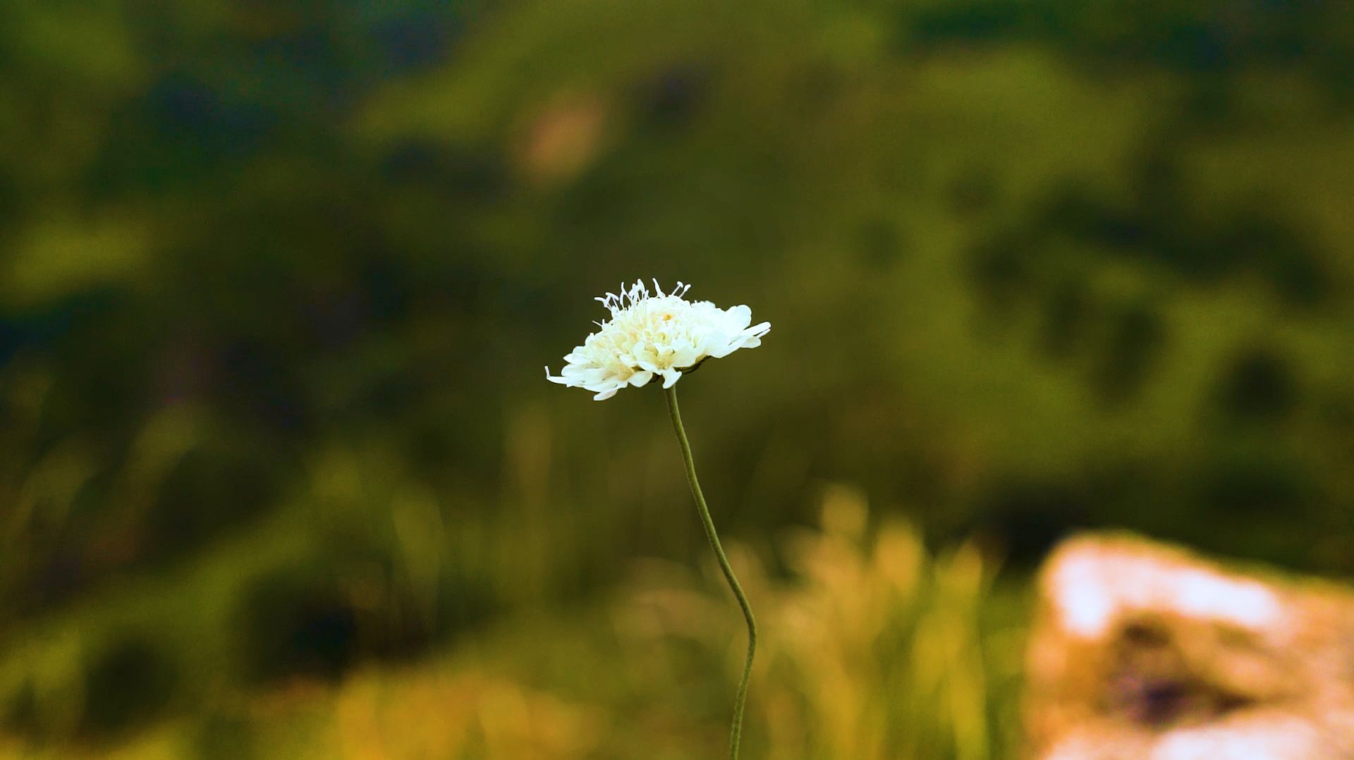 Потепление ожидается на Ставрополье в 8 марта