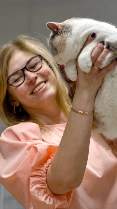 Британская кошка ICh. Izuminka High Class на ринге WCF 28фев26г