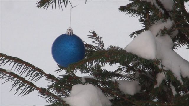 2024  елки 8.02.