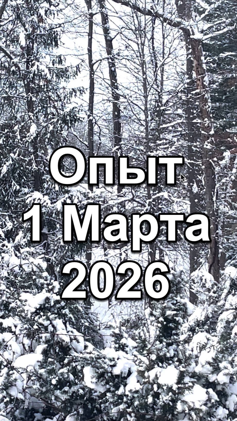 Духовный Опыт 1 Марта 2026 #shorts #бог #мистика #вечность #дух