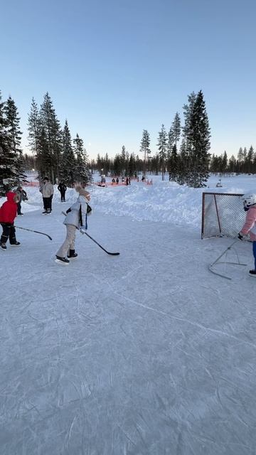 Развлечения на льду